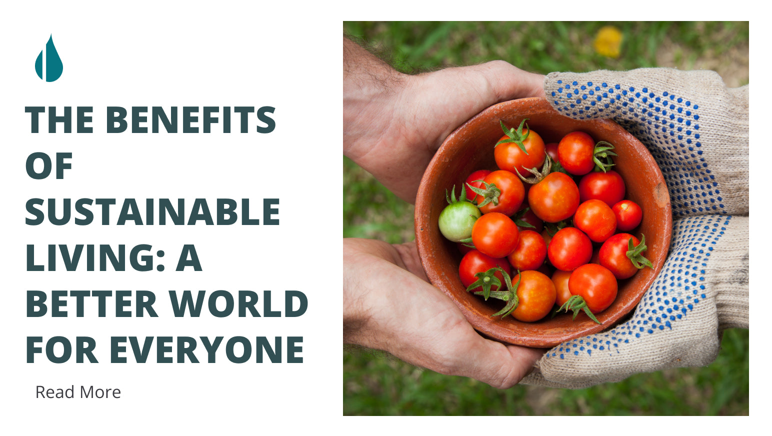 The Benefits of Sustainable Living: A Better World for Everyone – Elemental Bottles