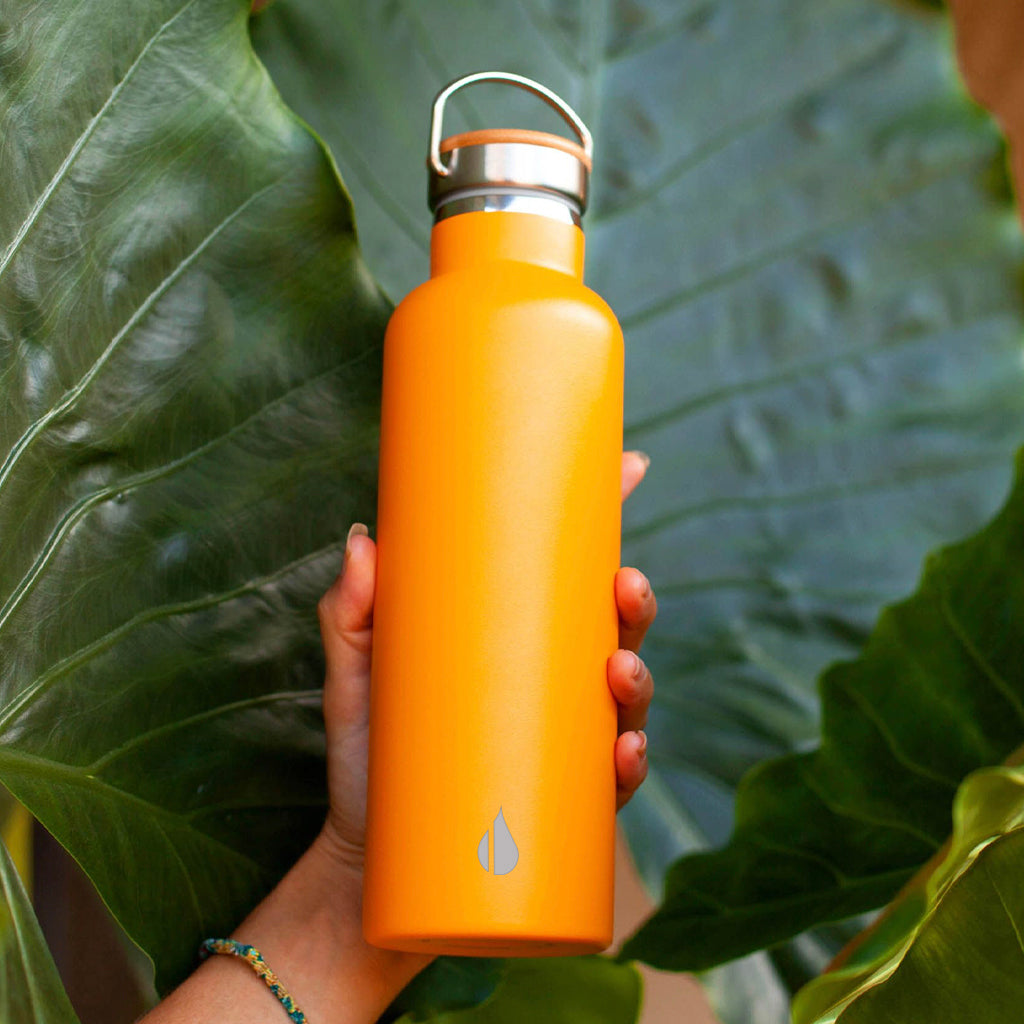 Elemental Classic Water Bottle – 25oz Stainless Steel Insulated Water ...